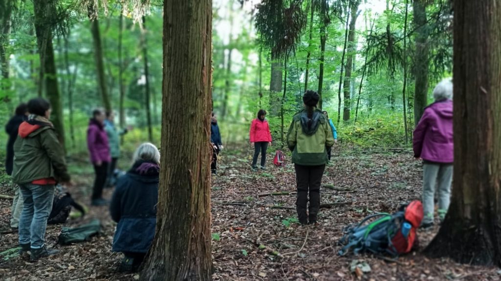 WaYoMa – Waldbaden, Yoga, Mantrasingen - Inspiratour